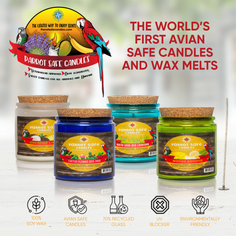Pet Safe Candles | A Breath of Fresh Air for Pets