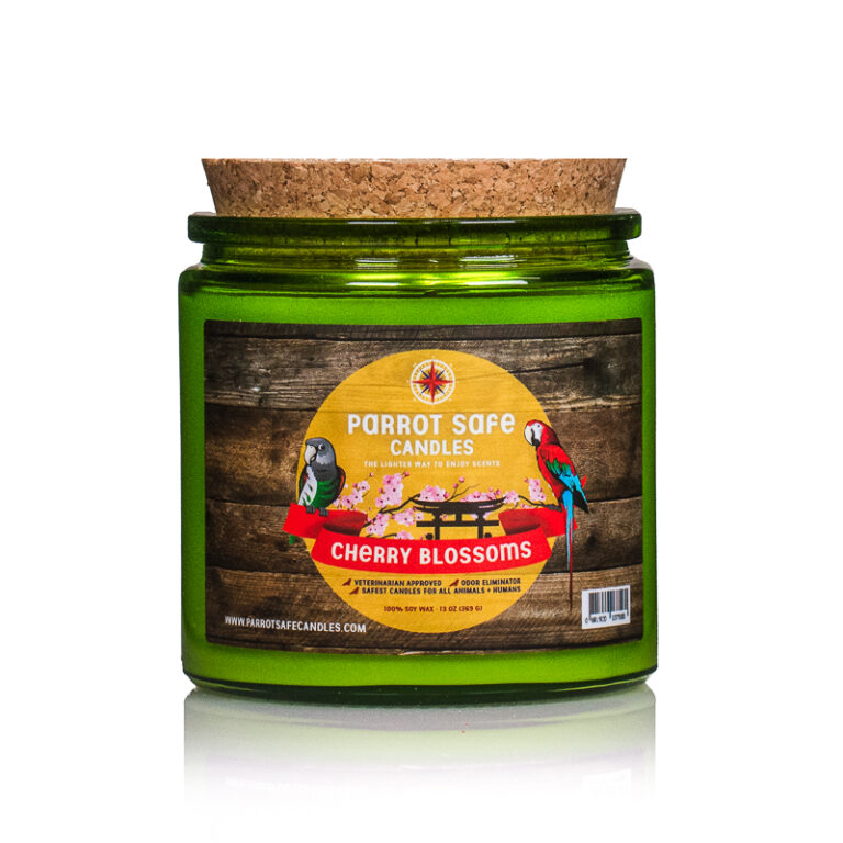 Parrot Safe Archives - Pet Safe Candles